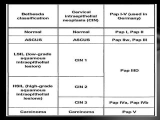 An overview of cin | PPTX