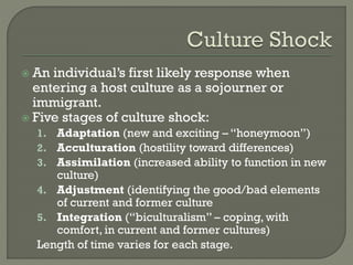 An overview of culture | PPTX