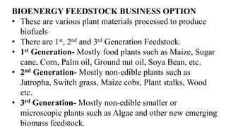 An overview of energy sources from biomass.pdf