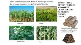 An overview of energy sources from biomass.pdf