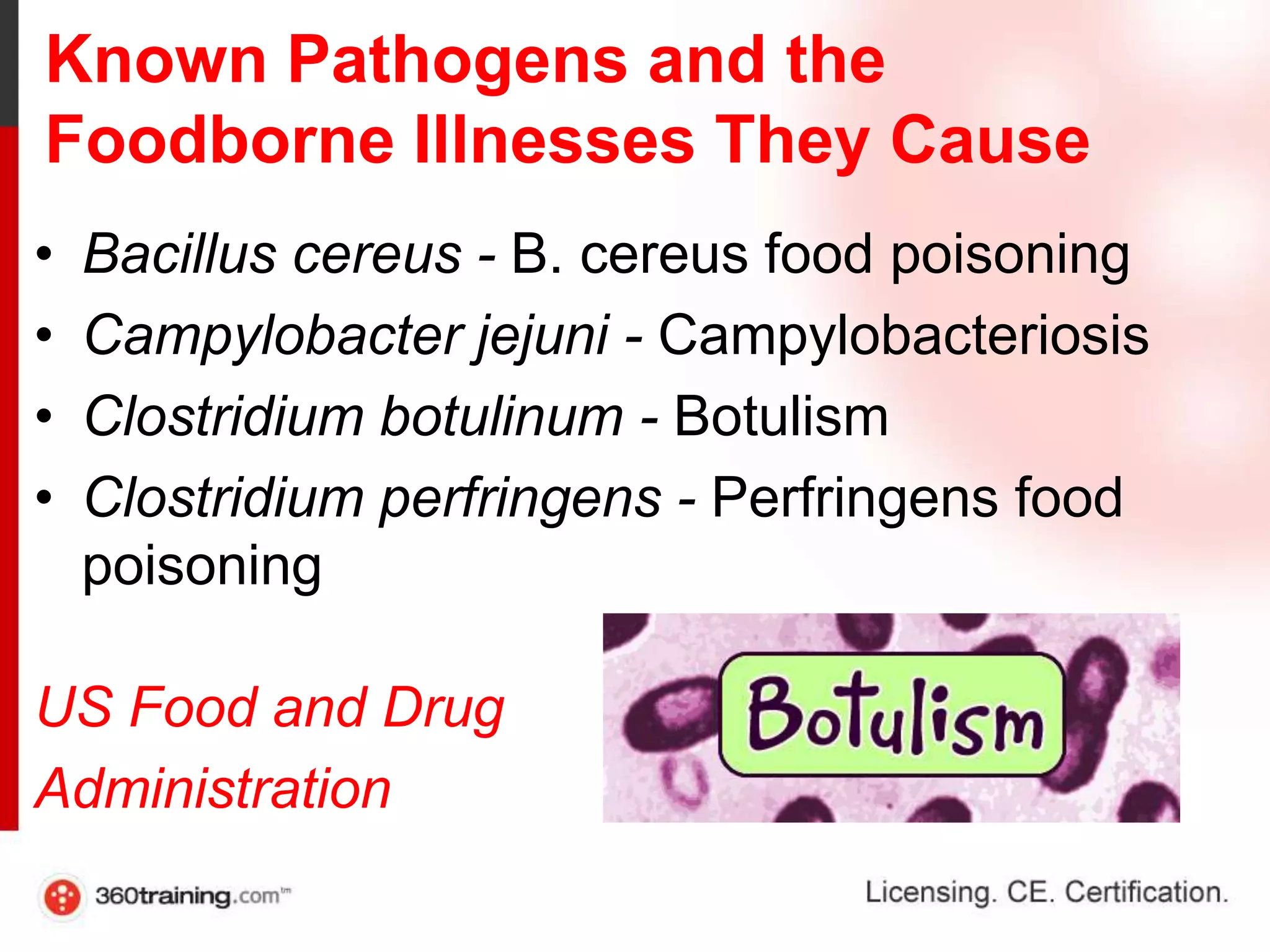 An Overview of Food Poisoning, Foodborne Illnesses and Food Handler Training | PPTX