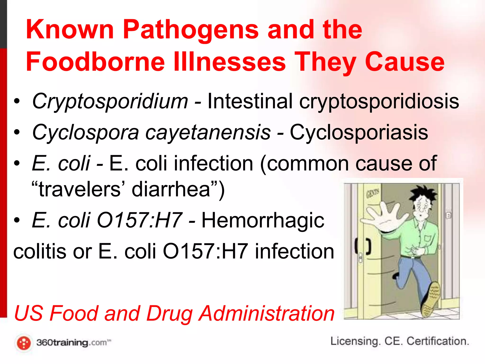 An Overview of Food Poisoning, Foodborne Illnesses and Food Handler Training | PPTX
