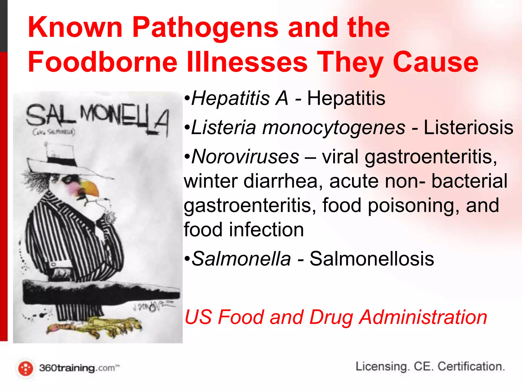 An Overview of Food Poisoning, Foodborne Illnesses and Food Handler Training | PPTX