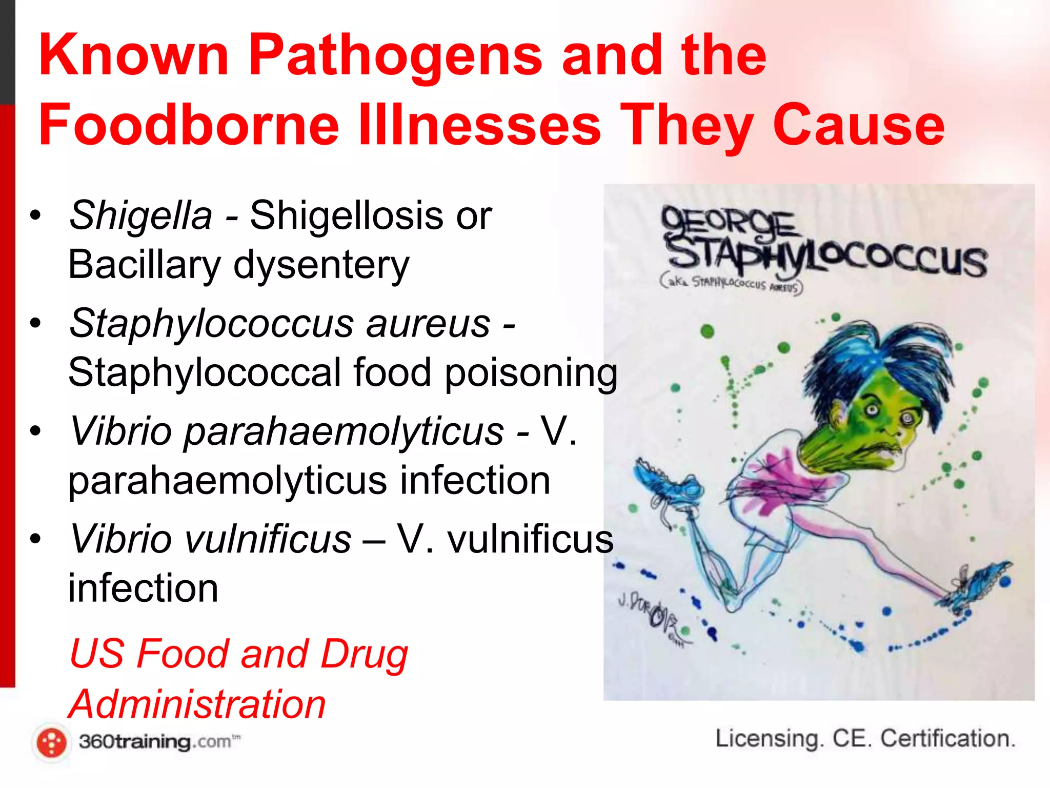 An Overview of Food Poisoning, Foodborne Illnesses and Food Handler Training | PPTX