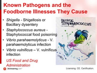 An Overview of Food Poisoning, Foodborne Illnesses and Food Handler ...