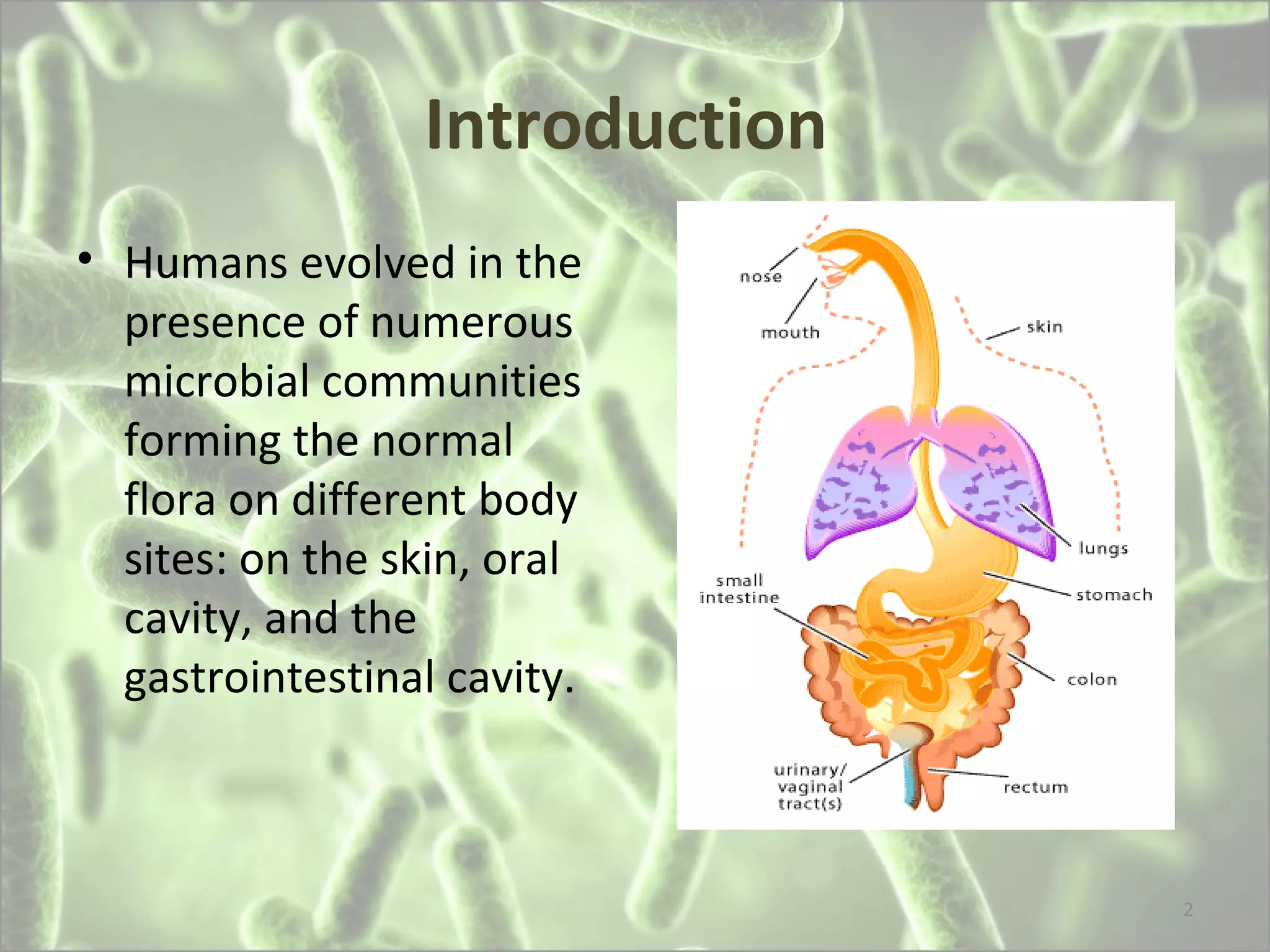 An overview of gut microbiota | PPT