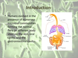 An overview of gut microbiota | PPT