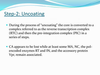 An overview of hiv biology2 1.08.2011