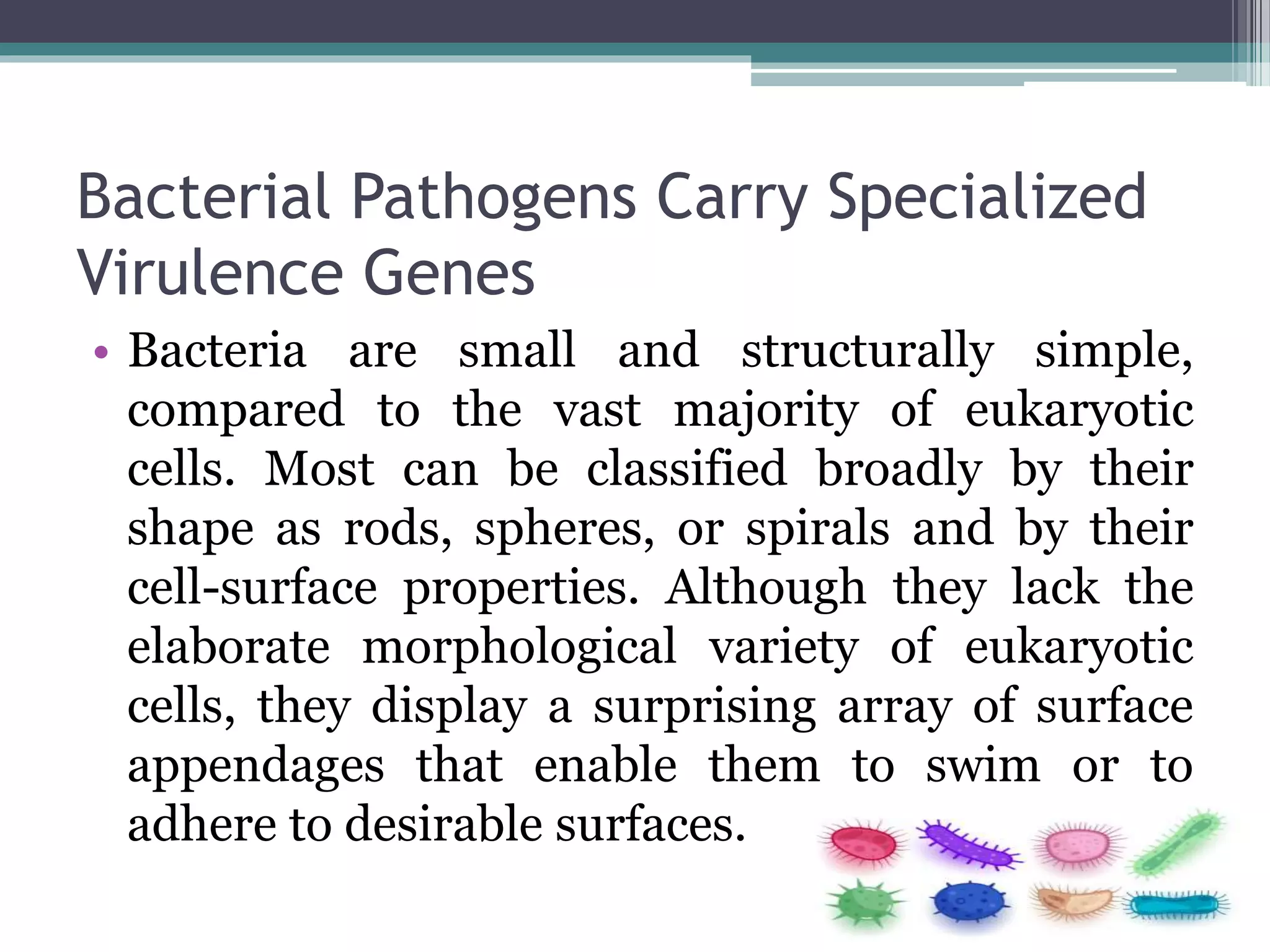 An Overview of Immunity to Viruses, Bacteria, Fungi and Ptozoans | PPTX