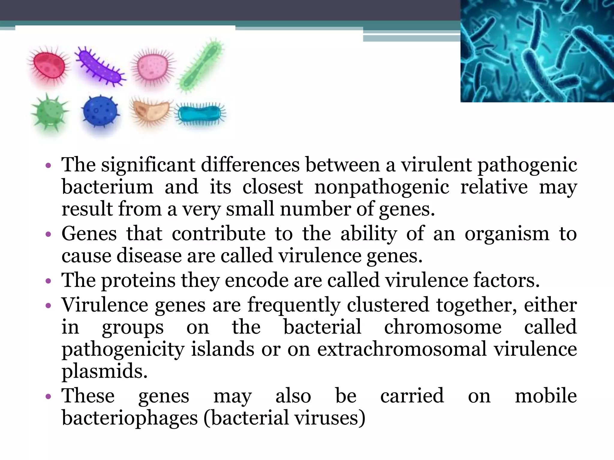 An Overview of Immunity to Viruses, Bacteria, Fungi and Ptozoans | PPTX