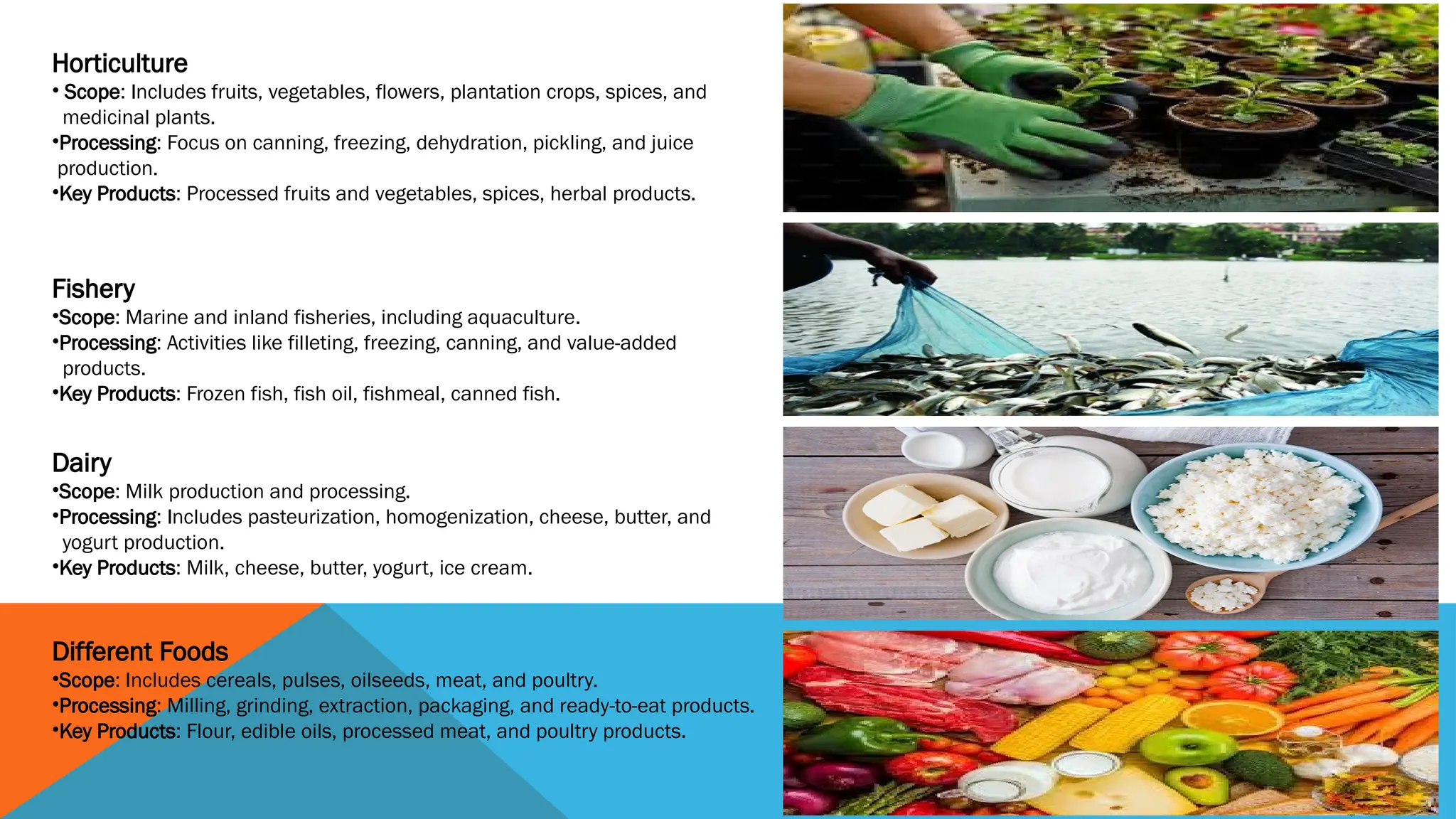 An overview of Indian agriculture processing industry.pptx