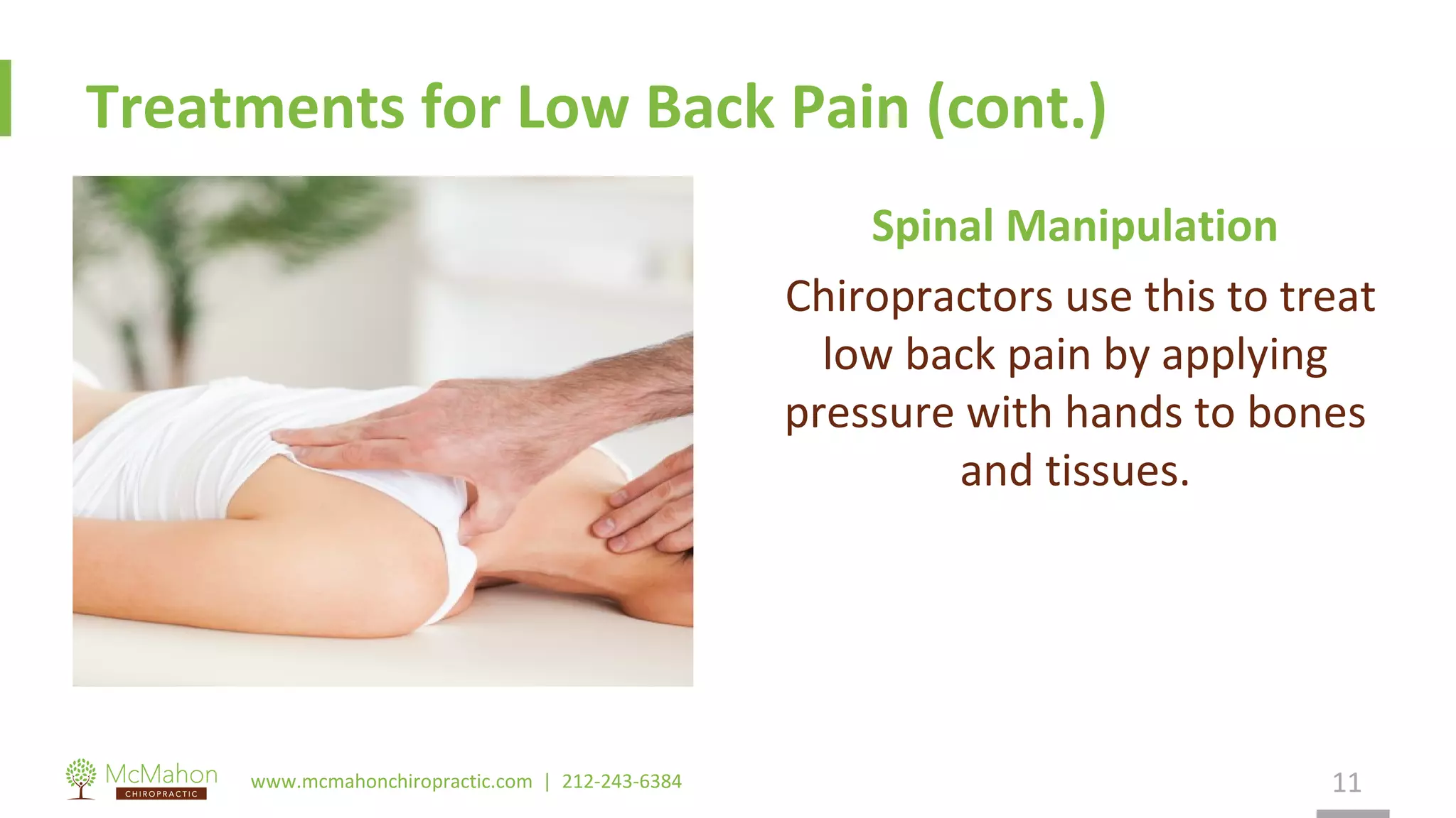 An Overview of Lower Back Pain | PPT