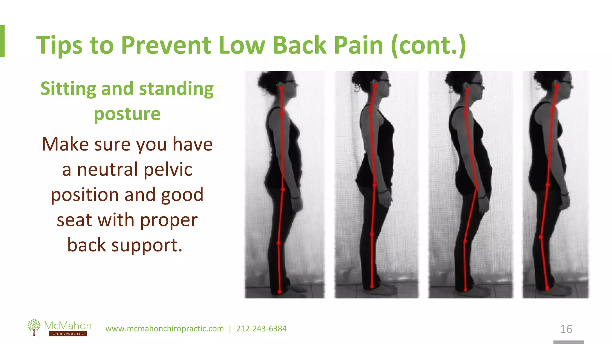 An Overview of Lower Back Pain | PPT