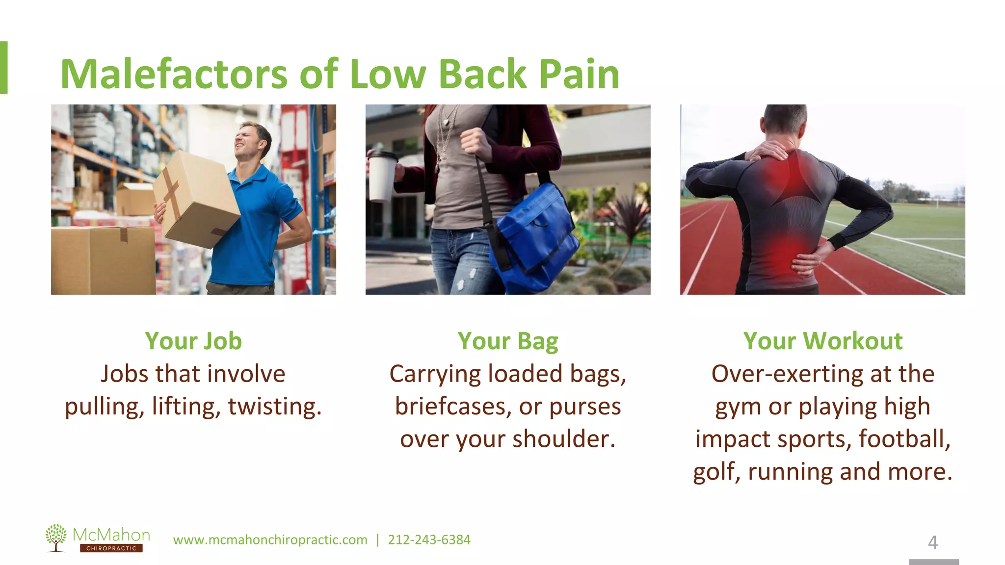 An Overview of Lower Back Pain | PPT