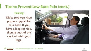 An Overview of Lower Back Pain | PPT