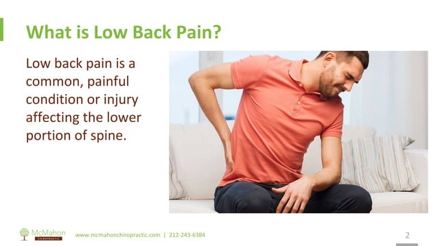 An Overview of Lower Back Pain | PPT