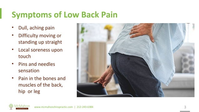 An Overview of Lower Back Pain | PPT