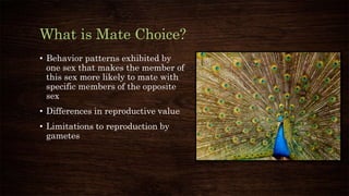 An overview of male mate choice | PPT