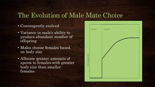 An overview of male mate choice