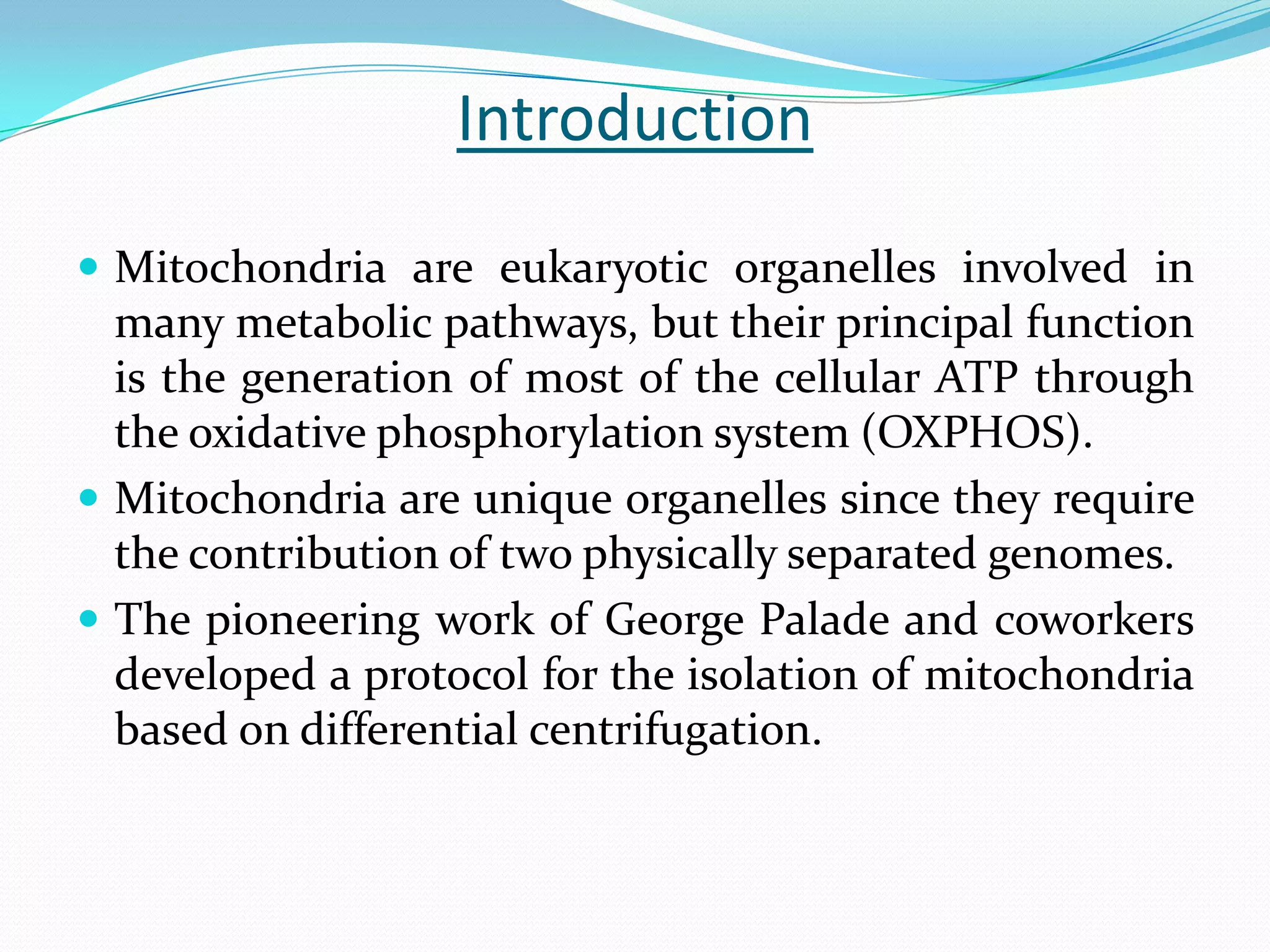 An overview of mitochondrial biology | PPTX