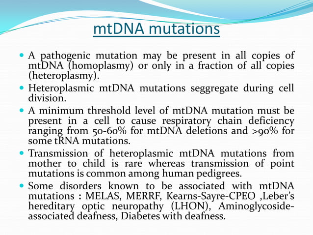 An overview of mitochondrial biology | PPTX