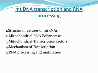 An overview of mitochondrial biology | PPTX