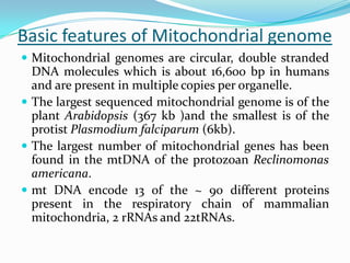 An overview of mitochondrial biology | PPTX