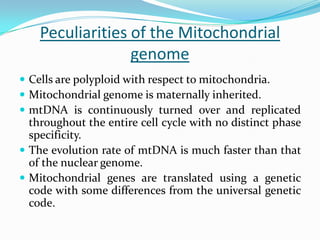 An overview of mitochondrial biology | PPTX