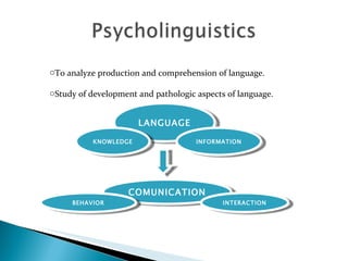 An overview of psycholinguistics | PPT