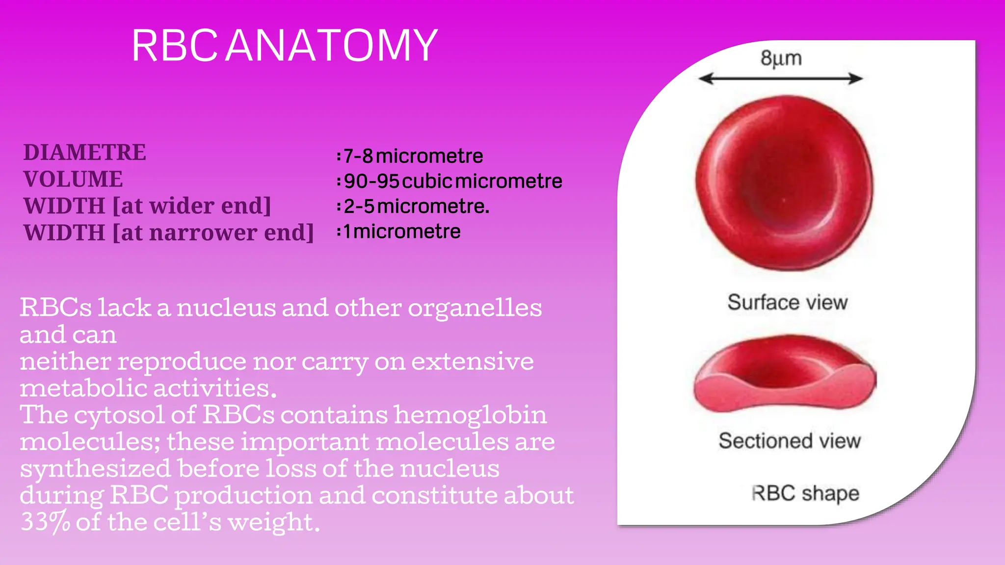 An overview of Red blood cells (01).pptx