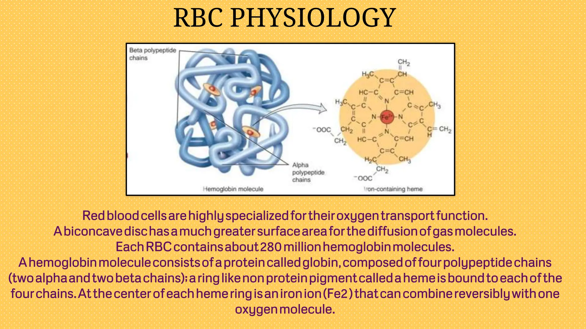 An overview of Red blood cells (01).pptx