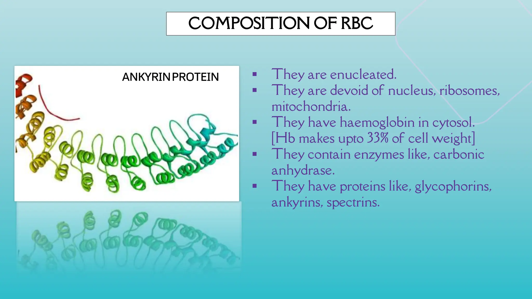 An overview of Red blood cells (01).pptx