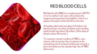 An overview of Red blood cells (01).pptx