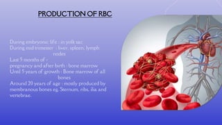 An overview of Red blood cells (01).pptx
