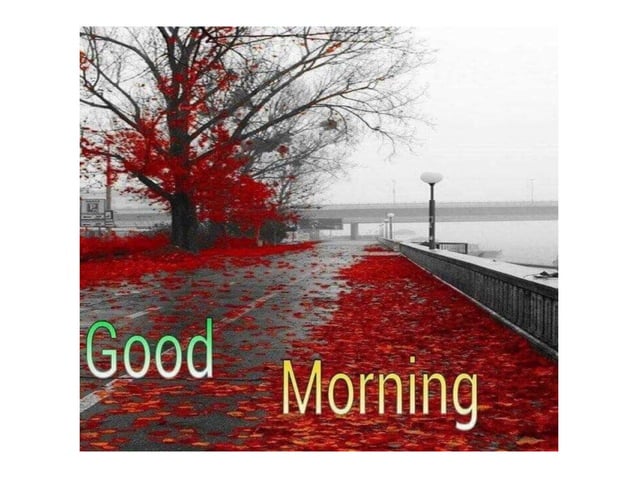 An overview of sampling | PPT