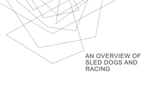 An Overview of Sled Dogs and Racing | PPTX