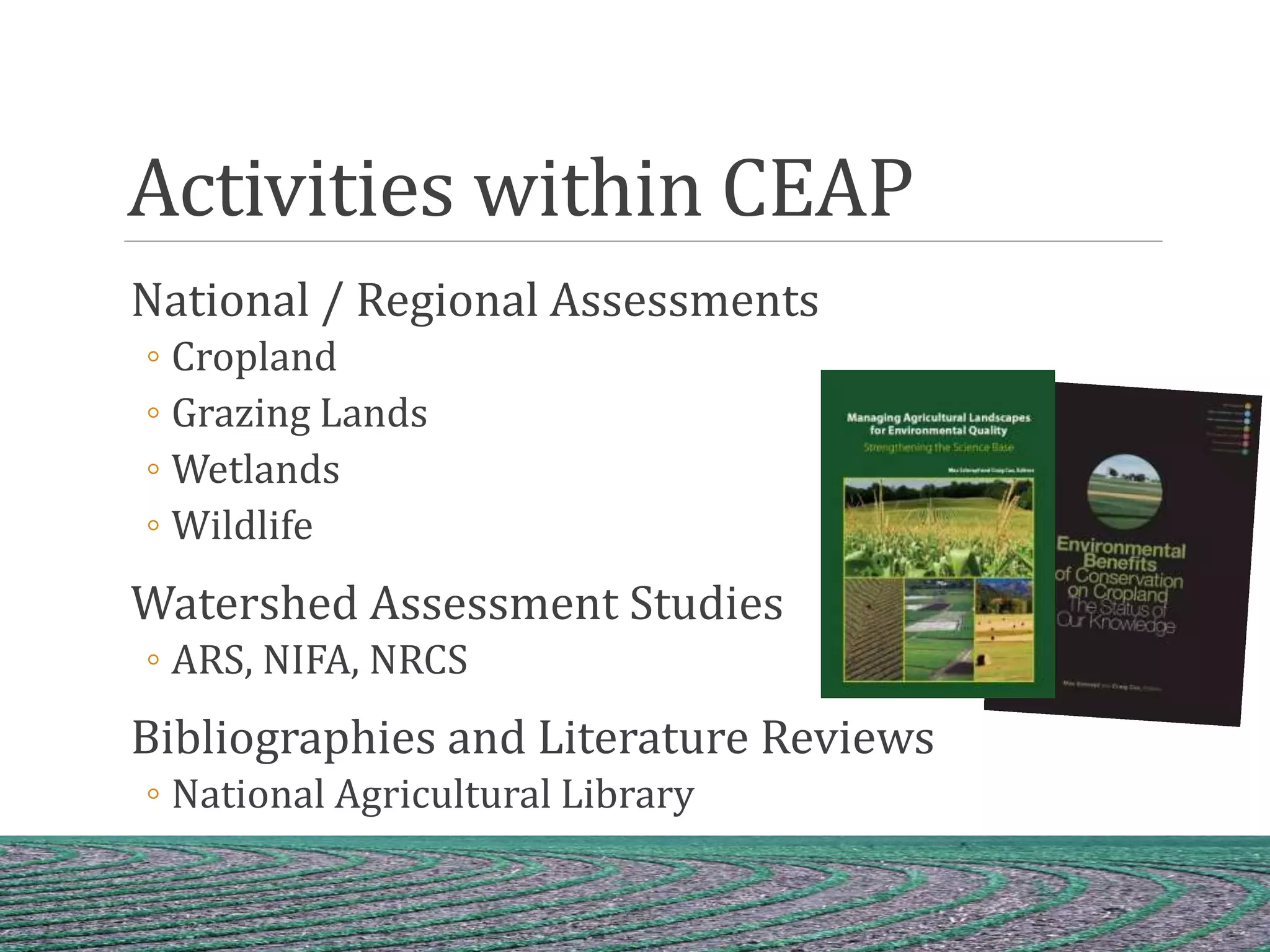 An overview of the ceap research | PPTX