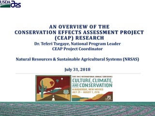 An overview of the ceap research | PPT