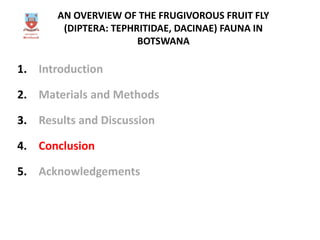 An overview of the frugivorous fruit fly diptera- tephritidae fauna in ...
