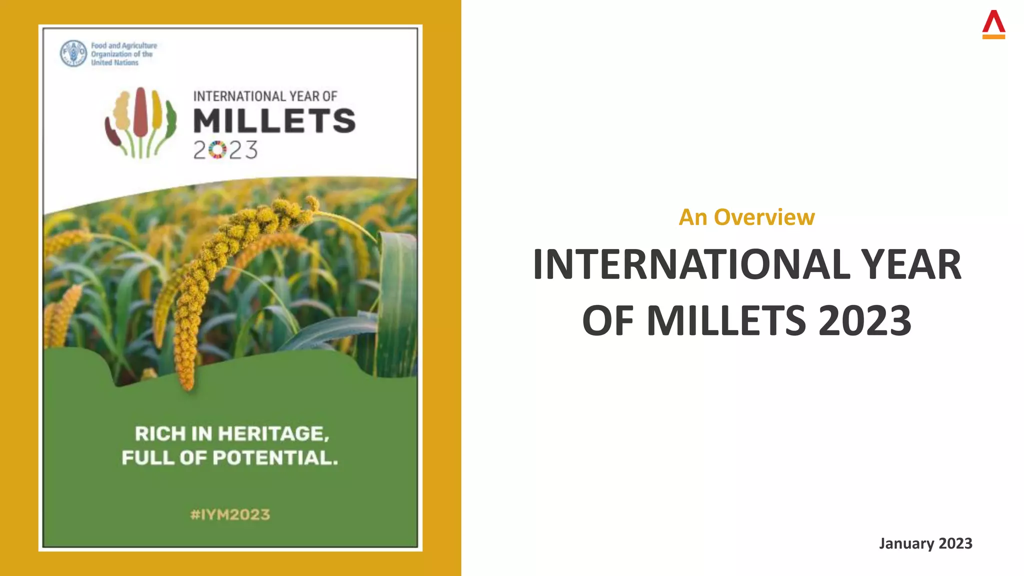 An Overview of the International Year of Millets 2023.pdf