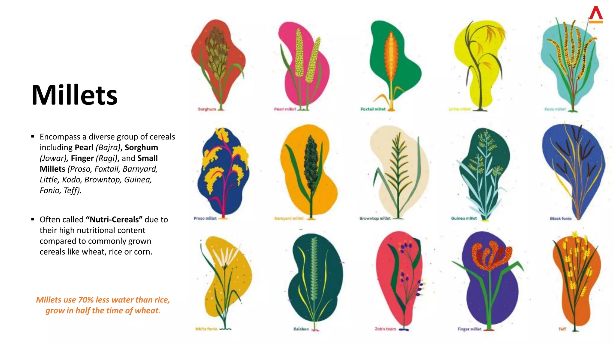 An Overview of the International Year of Millets 2023.pdf