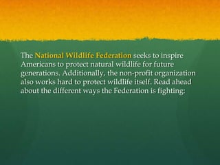 An overview of the national wildlife federation, part 2 of 2 | PPTX ...
