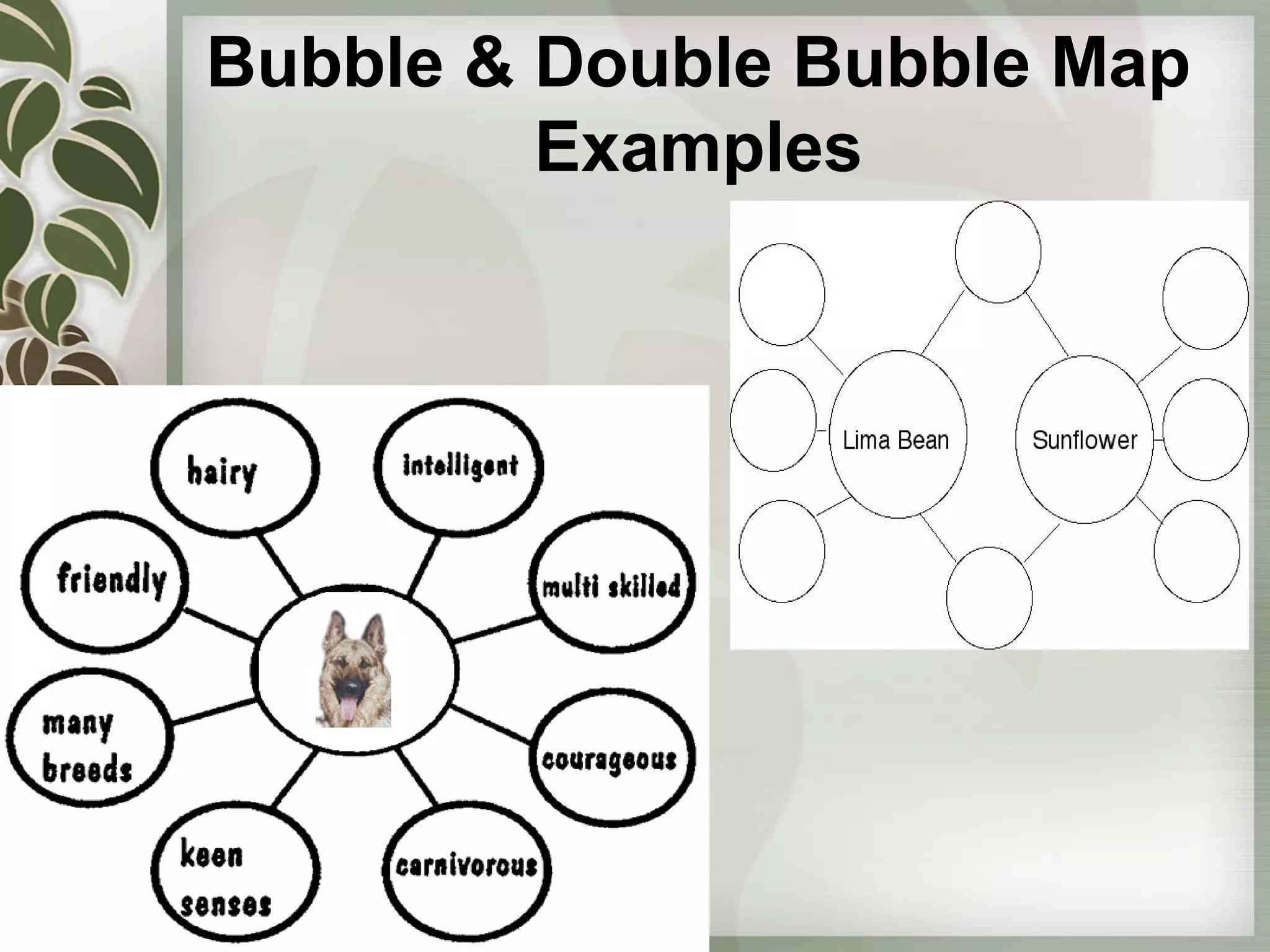 An overview of thinking maps | PPT