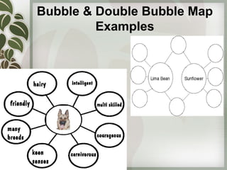 An overview of thinking maps | PPT