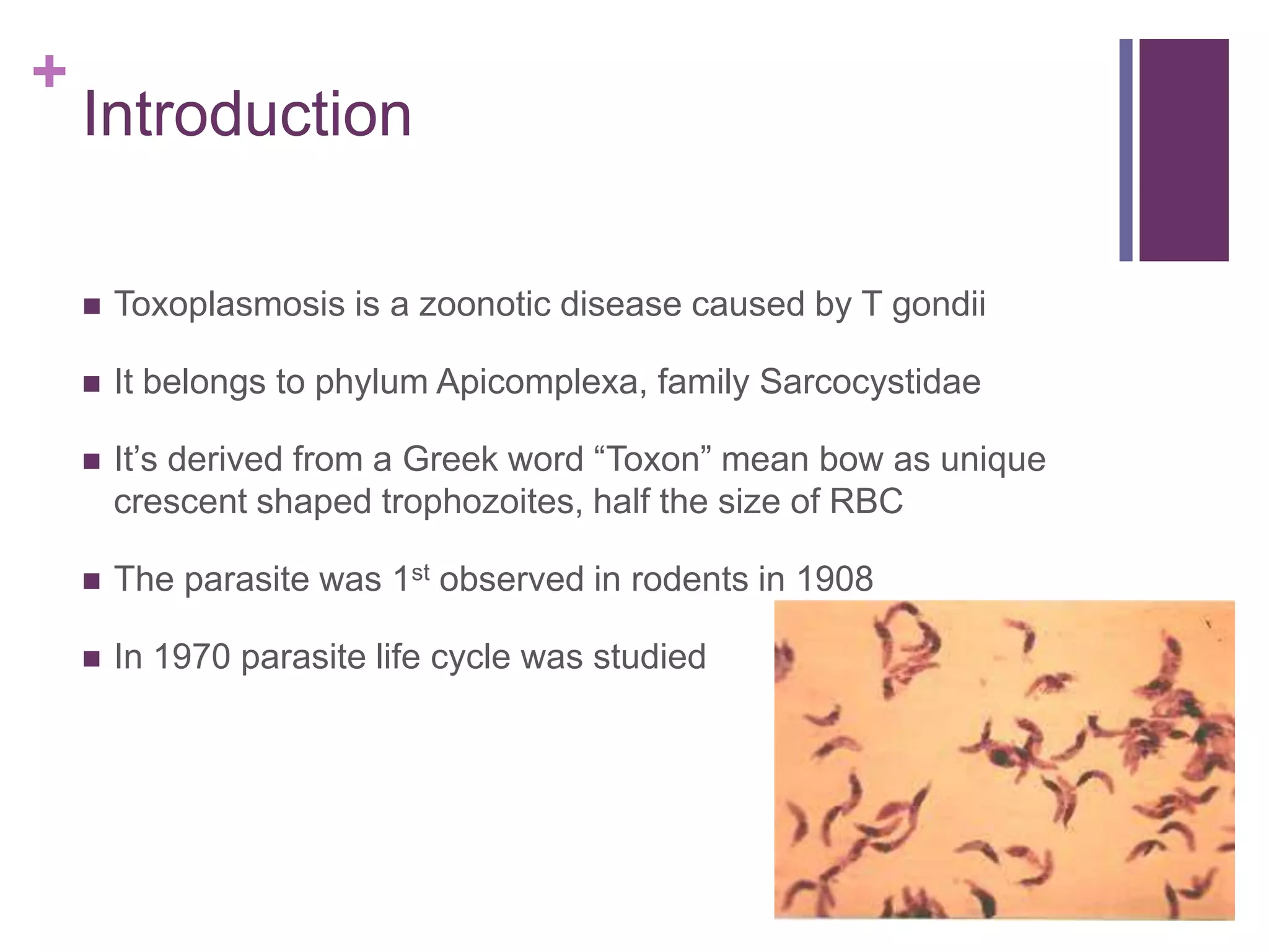 An overview of toxoplasmosis | PPTX