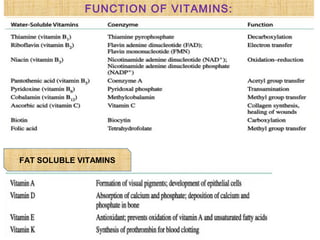 Vitamin (overview of a,b & c) | PPT