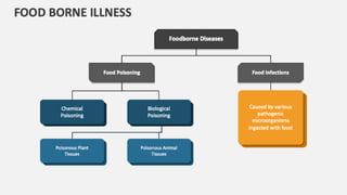 AN OVERVIEW TO FOODBORNE ILLNESSES..pptx | Free Download