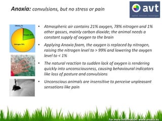 Anoxia - applying the technique | PPTX