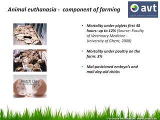 Animal Euthanasia: What are the challenges? | PPTX