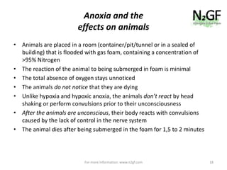 Anoxia presentation Australia | PPTX